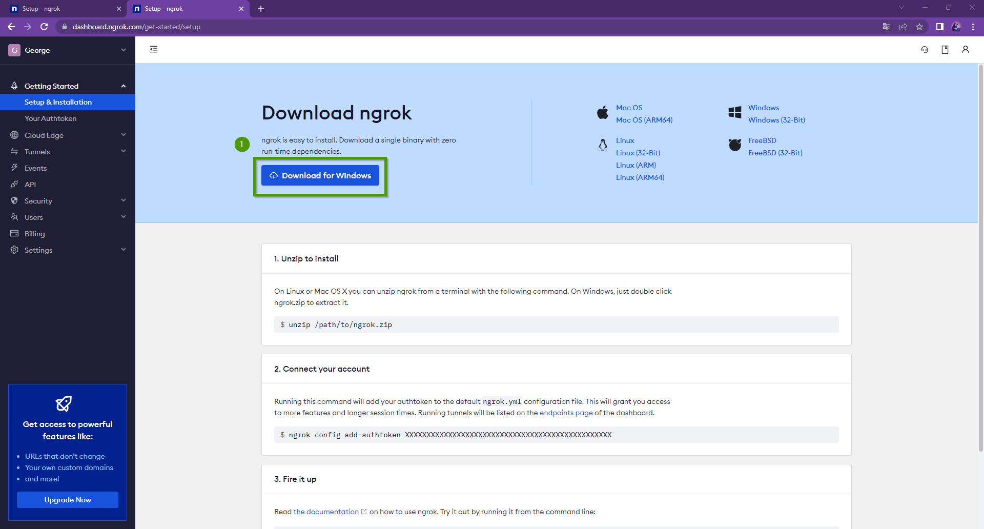 ngrok – Una solución para presentar en internet nuestras aplicaciones web. – George the Penguin